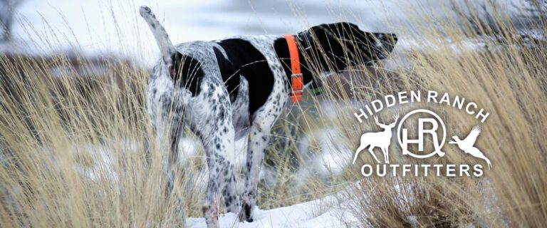 Hidden Ranch Outfitters